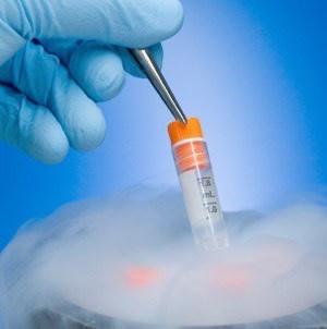 Vitrification – Usha IVF